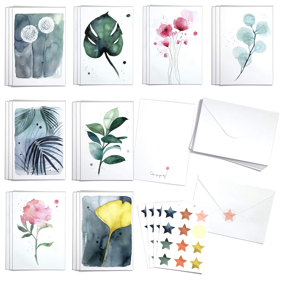 Colour Up Your Day Cute Watercolor Botanical Greeting Cards Box of 24 cards with Envelopes and Seal Stickers. All Occasion Blank Thank you cards, Appreciation, Birthday, Sympathy