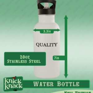 Knick Knack Gifts #entertain - 20oz Stainless Steel Water Bottle, Silver