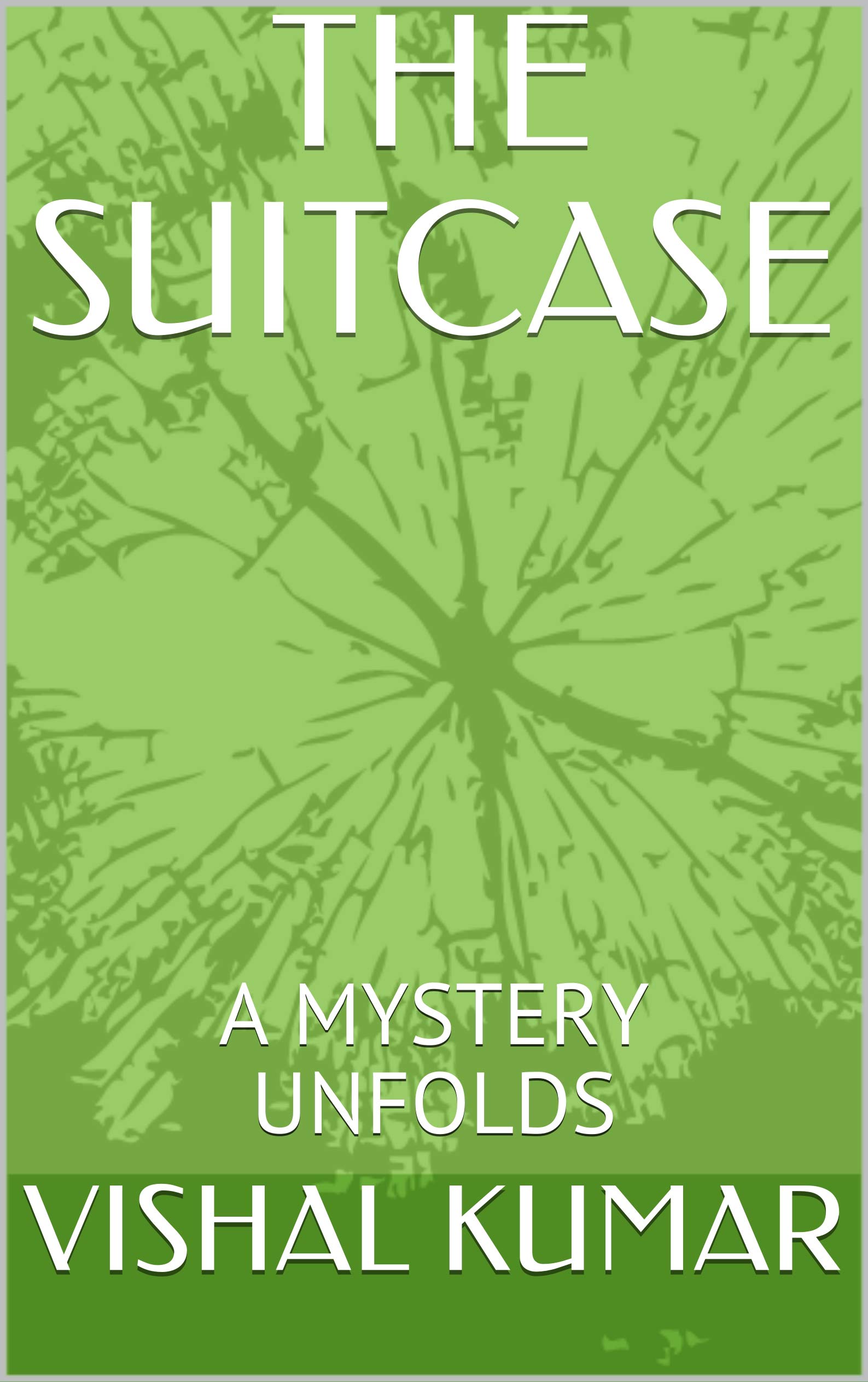 THE SUITCASE: A MYSTERY UNFOLDS