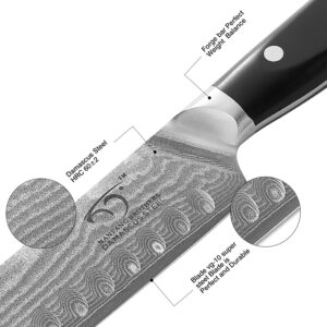 Santoku Knife 7 Inch, YanXuan Series Professional Kitchen Knife Forged with VG10 Super Steel 67-Layer Damascus, Non-slip ABS Ergonomic Triple Rivet Handle, Razor Sharp Lightweight Multipurpose