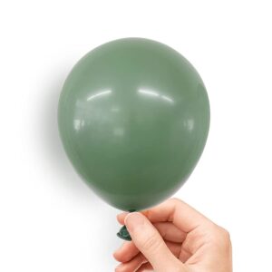 cymylar 100pcs 5 inch eucalyptus sage green balloon olive green latex balloons bouquet for women men birthday baby shower wedding bridal shower anniversary birthday party decorations