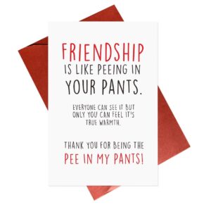 gonzey funny best friend birthday cards,friendship is like peeing in your pants