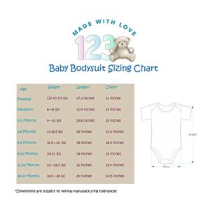 123 Bear Baby 3-Pack Cotton Spandex Long-Sleeve bodysuits unisex boy girl (Gray Long-Sleeve, Newborn)