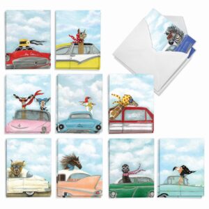 the best card company assorted blank greeting card box set - incl. 20 cards + envelopes - 10 unique designs - perfect for thank yous, invitations, more - driving divas am9276ocb-b2x10