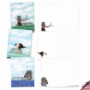 The Best Card Company Assorted Blank Greeting Card Box Set - Incl. 20 Cards + Envelopes - 10 Unique Designs - Perfect for Thank Yous, Invitations, More - Driving Divas AM9276OCB-B2x10