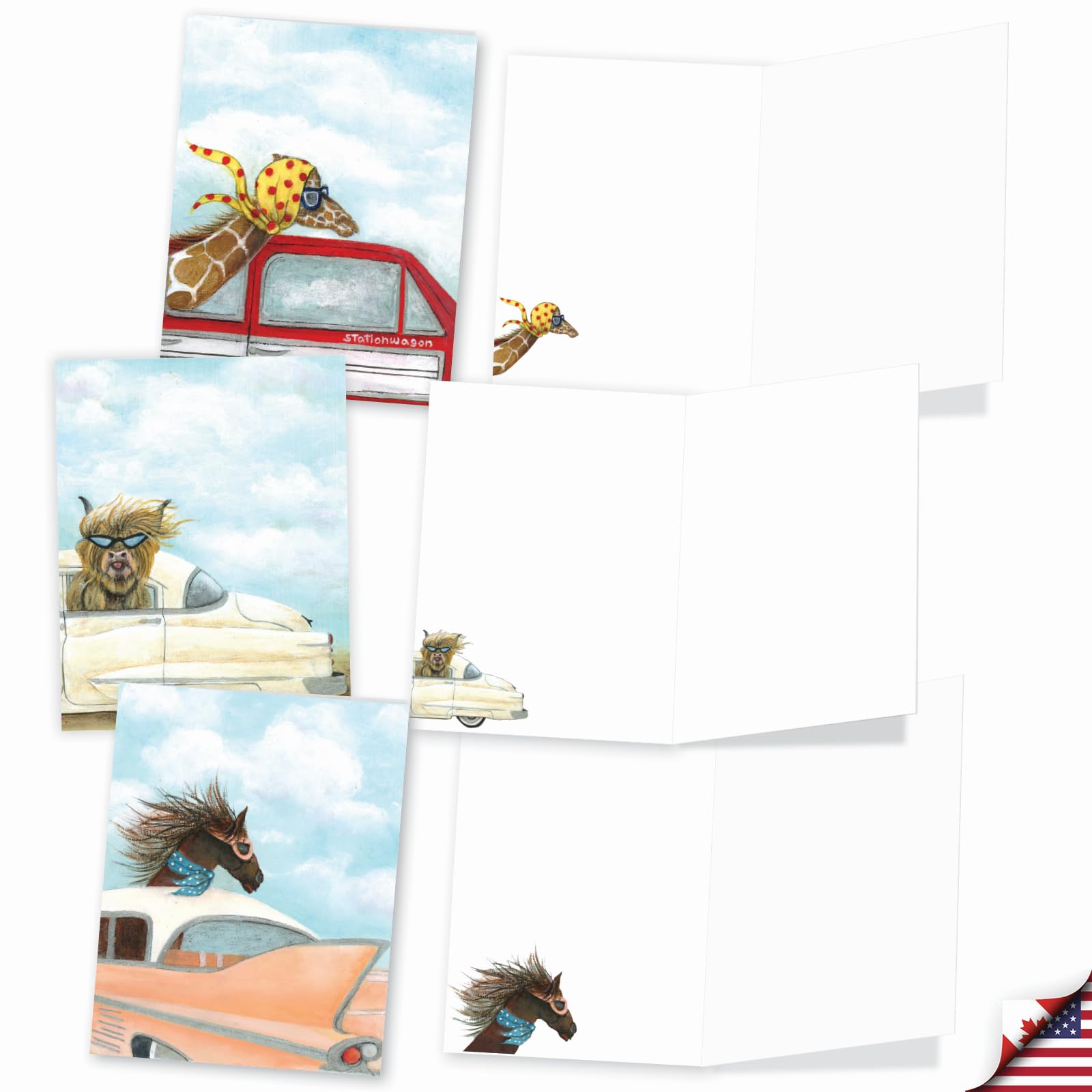 The Best Card Company Assorted Blank Greeting Card Box Set - Incl. 20 Cards + Envelopes - 10 Unique Designs - Perfect for Thank Yous, Invitations, More - Driving Divas AM9276OCB-B2x10