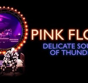 Pink Floyd: Delicate Sound Of Thunder