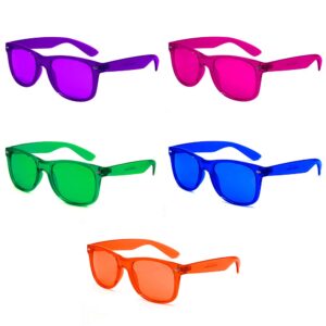 PURPLE CANYON Color Therapy Glasses 10 Pack for Chakra Healing, Chromotherapy, and Mood