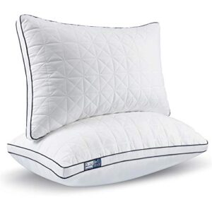 bedstory bed pillows for sleeping - queen size set of 2, hotel quality soft & comfortable improve sleep quality, luxury pillows for side, stomach or back sleepers (19" x 28")