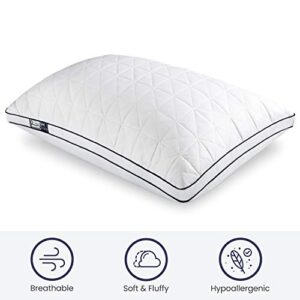 BedStory Bed Pillows for Sleeping - Queen Size Set of 2, Hotel Quality Soft & Comfortable Improve Sleep Quality, Luxury Pillows for Side, Stomach or Back Sleepers (19" x 28")