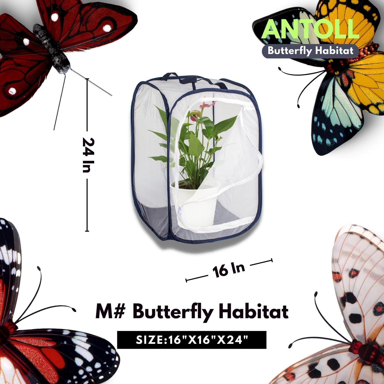 Antoll 24" M Size Blue Butterfly Habitat Cage, Monarch Butterfly Habitat, Butterfly Cage for Caterpillars, Flying Insect Mesh Cage, Outdoor Observation Plant, Pop-Up Open Size: 16"x16"x24"