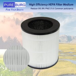 PUREBURG Replacement True HEPA Filters Compatible with Hisense KJ120 Air Purifier APKIT-20F / Enther AP1C Air Purifier APF1C,2-Pack