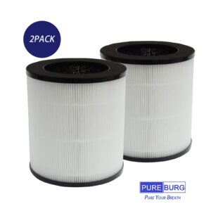 PUREBURG Replacement True HEPA Filters Compatible with Hisense KJ120 Air Purifier APKIT-20F / Enther AP1C Air Purifier APF1C,2-Pack