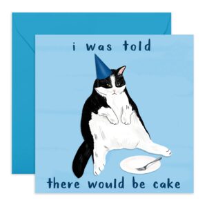 central 23- funny birthday cards for him - 'i was told there would be cake' - fun birthday cards for mom - cat birthday card - ideal birthday card for her - comes with fun stickers