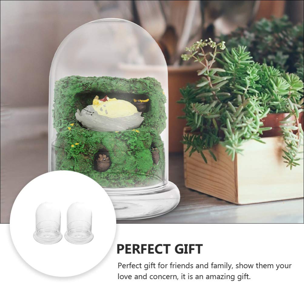 Hemoton 2pcs Air Plant Holder Glass Cloche Bell Jar Display Dome Cover Glass Ball Terrarium Air Plant Planters Floral Container