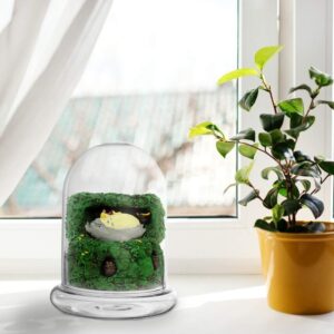 Hemoton 2pcs Air Plant Holder Glass Cloche Bell Jar Display Dome Cover Glass Ball Terrarium Air Plant Planters Floral Container