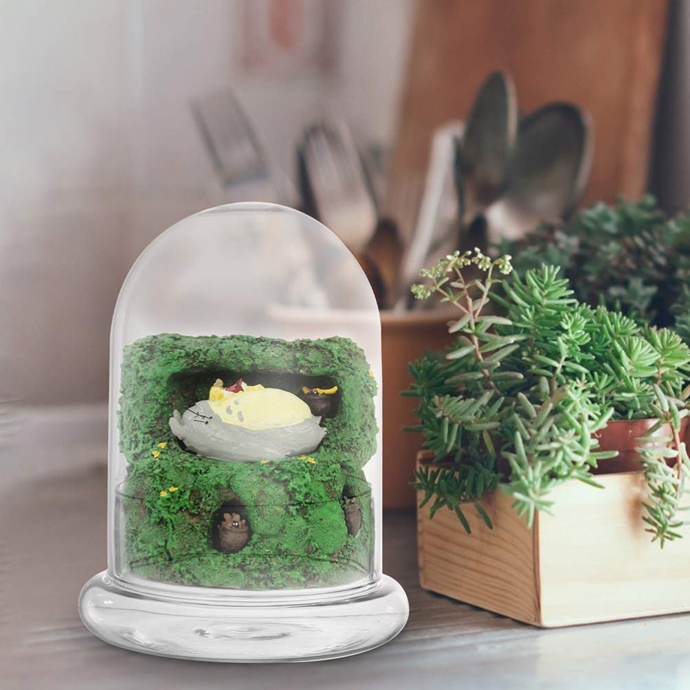 Hemoton 2pcs Air Plant Holder Glass Cloche Bell Jar Display Dome Cover Glass Ball Terrarium Air Plant Planters Floral Container