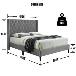 Better Home Products Amelia Velvet Tufted Queen Platform Bed in Gray