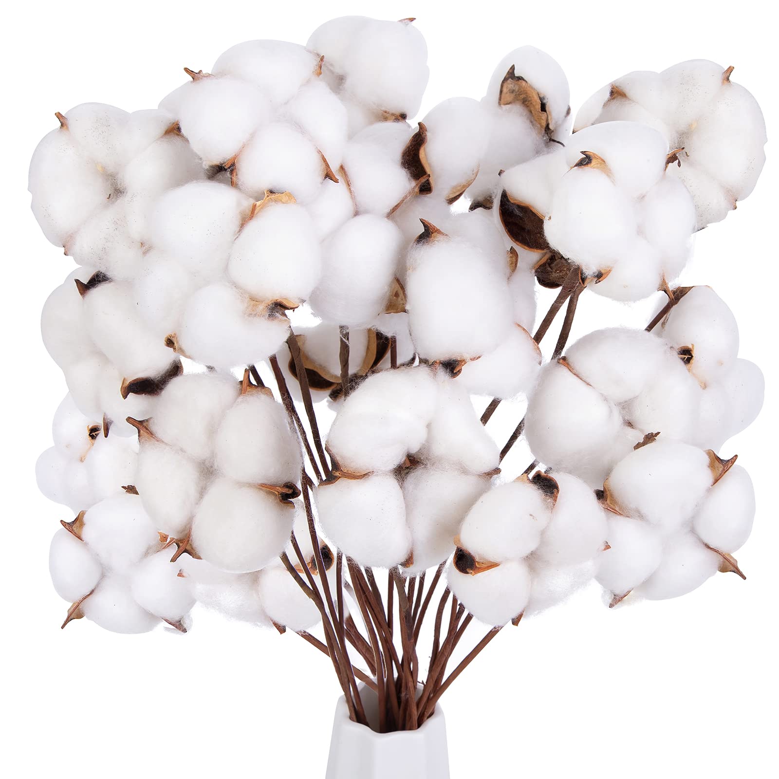 DomeStar 30PCS Cotton Stems, 15" Natural Dried Cotton 120 Cotton Balls Cotton Sprigs Cotton Blooms Floral Stems for Vase Fillers