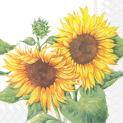 Sunflower Plate & Napkin Bundle for 20 Guests with Bonus Party Planning Checklist, Light Yellow/Fresh Lime