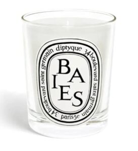 diptyque baies candle 190g - (tangy coolness of freshly picked blackcurrant berries)