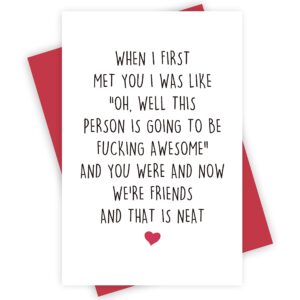 funny and sarcastic friendship card, best friend birthday card for bestie, sweet unique bday card