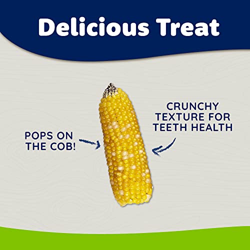 Vitakraft Mini Pops Treat for Small Animals - 100% Real Corn Cob - Supports Healthy Teeth - 1 lb