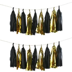 meetppy 20pcs tissue paper tassels banner - tassels garland for bachelorette party, birthday party, black and gold party decorations