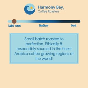 Harmony Bay Decaf Hazelnut Flavored Coffee - 100% Arabica Gourmet Ground Decaffeinated Coffee - Light Roast - Small Batch Roasted - Aromatic Nutty Flavored Coffee - 12 oz Can (Pack of 6)