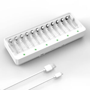 dlyfull 12 bay aa aaa battery charger, usb and type-c selectable high-speeding charging for ni-mh ni-cd rechargeable batteries, usb cable included