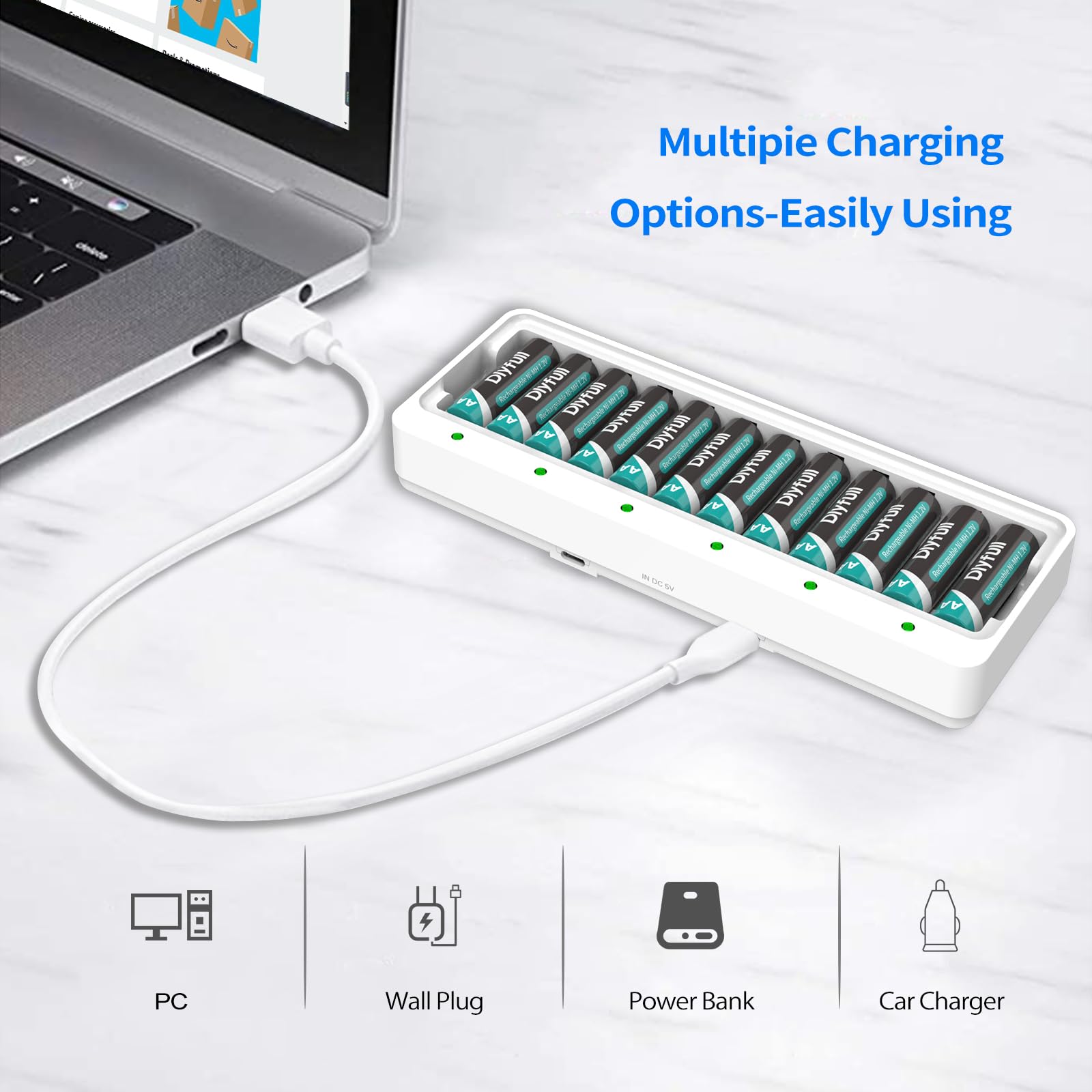 Dlyfull 12 Bay AA AAA Battery Charger, USB and Type-C Selectable High-Speeding Charging for Ni-MH Ni-CD Rechargeable Batteries, USB Cable Included