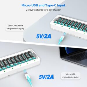 Dlyfull 12 Bay AA AAA Battery Charger, USB and Type-C Selectable High-Speeding Charging for Ni-MH Ni-CD Rechargeable Batteries, USB Cable Included