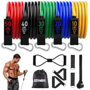 resistance bands, workout bands, exercise bands for men and women, exercise bands with door anchor, physical therapy, shape body, resistance band set