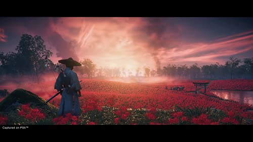 Ghost of Tsushima Director's Cut (PS4)