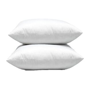 warmwithann set of 2, cotton fabric square pillow inserts, down and feather decorative throw pillows inserts. 18"x18" inches