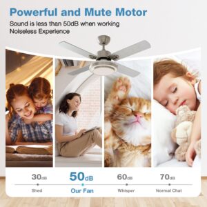 warmiplanet Ceiling Fan with Lights Remote Control, 44 Inch, Brushed Nickel Motor (4-Blades)