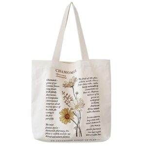 broadream canvas tote bag aesthetic - zippered book tote bag with interior pocket by cute shoulder tote bags for women shopping & travel - best gift for teacher mom friendship wife classmate birthday