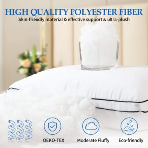 DolceLuna Pillows Queen Size Set of 2, Bed Pillows for Sleeping 2 Pack, Queen Pillows Down Alternative Hotel Luxury Pillow for Side and Back Sleepers, Soft & Comfortable