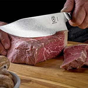 Mercer Culinary M13795 Premium Grade Super Steel, 8-Inch The Hunter Chef's Knife, G10 Handle