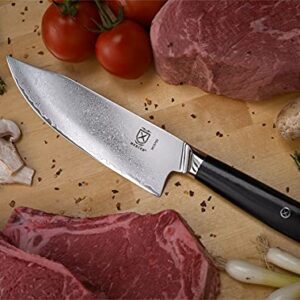 Mercer Culinary M13795 Premium Grade Super Steel, 8-Inch The Hunter Chef's Knife, G10 Handle