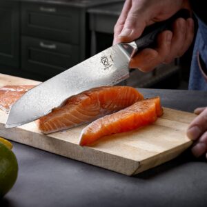 Mercer Culinary M13786 Premium Grade Super Steel, 7-Inch Santoku Knife, G10 Handle