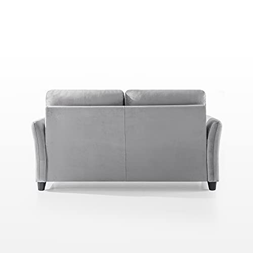 ZINUS Ricardo Velvet Loveseat Sofa / Easy, Tool-Free Assembly, Grey Velvet