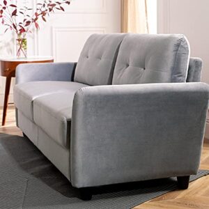 ZINUS Ricardo Velvet Loveseat Sofa / Easy, Tool-Free Assembly, Grey Velvet