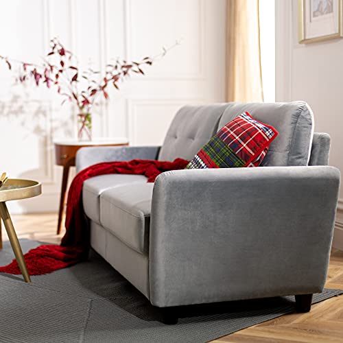 ZINUS Ricardo Velvet Loveseat Sofa / Easy, Tool-Free Assembly, Grey Velvet