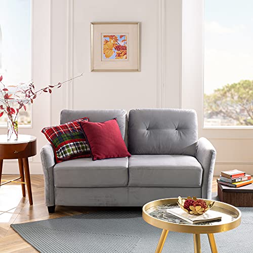 ZINUS Ricardo Velvet Loveseat Sofa / Easy, Tool-Free Assembly, Grey Velvet