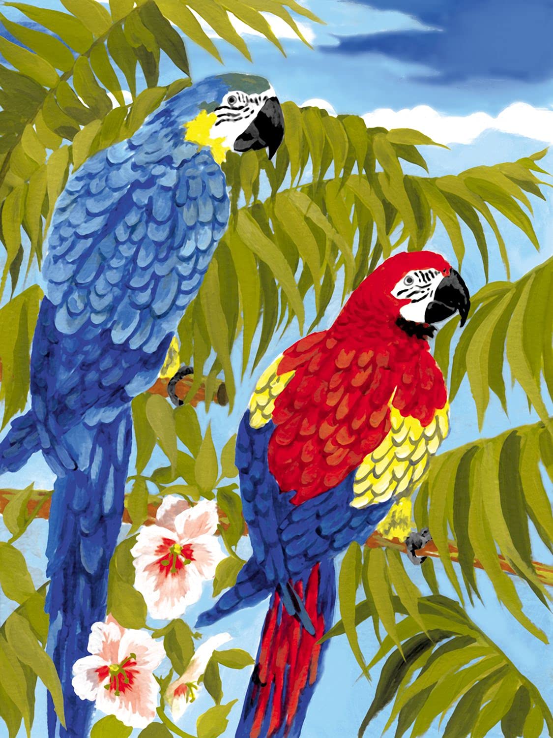 Pracht Creatives Hobby Paint by Numbers Junior Parrots, DIY Picture Approx. 33 x 24 cm, Includes 7 Acrylic Paints, Brush and Printed Painting Card, Ideal for Beginners and Children from 8 Years