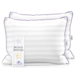 queen anne luxury hotel pillows - two pack (2) - majesty down - synthetic down alternative - allergy free hypoallergenic bed pillows - made in usa (queen firm)