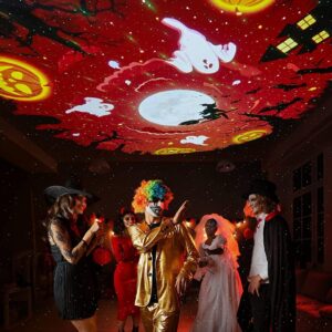 LaView Halloween & Thanksgiving Disc Set Galaxy Projector Suitable for Thanksgiving Gift for Family and Friends,Night Light for Kids Adults Baby Nursery and Bedroom Decoration