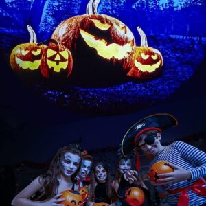 LaView Halloween & Thanksgiving Disc Set Galaxy Projector Suitable for Thanksgiving Gift for Family and Friends,Night Light for Kids Adults Baby Nursery and Bedroom Decoration