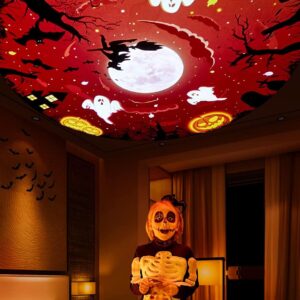 LaView Halloween & Thanksgiving Disc Set Galaxy Projector Suitable for Thanksgiving Gift for Family and Friends,Night Light for Kids Adults Baby Nursery and Bedroom Decoration